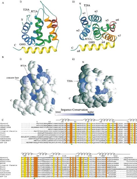 Representative Experimental Electron Density Map For Residues 3044
