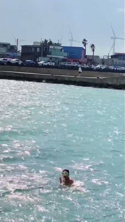 제주도 판포포구 제주 서쪽스노클링스팟 Youtube