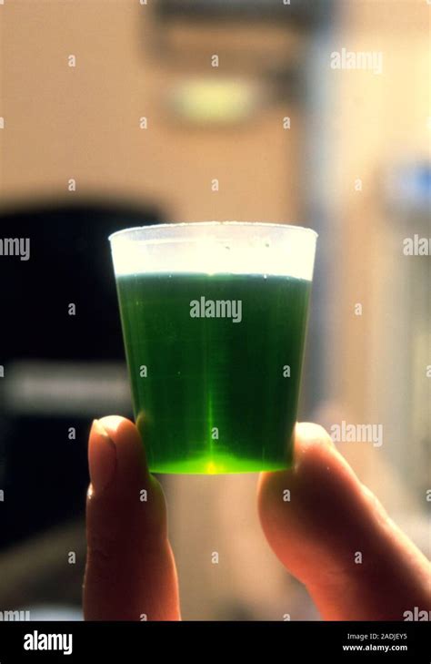 Methadone Hand Holding A Beaker Containing A Solution Of The Drug