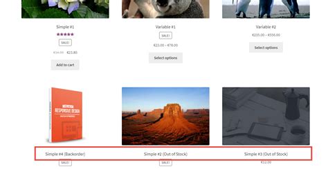 Woocommerce Display In Stock Products First Shop
