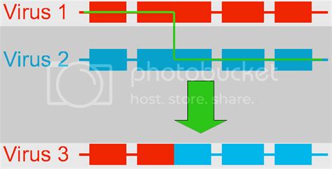 Virus Sexy Time ScienceBlogs