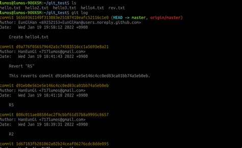 GitHub 사용법 원격 저장소와 지역 저장소 연결 winterblooom EunGi Han