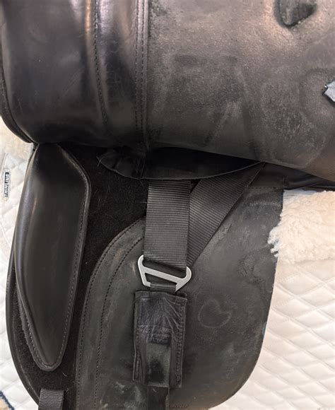 16 5” Nsc Brooke Dressage Saddle Highland Saddles