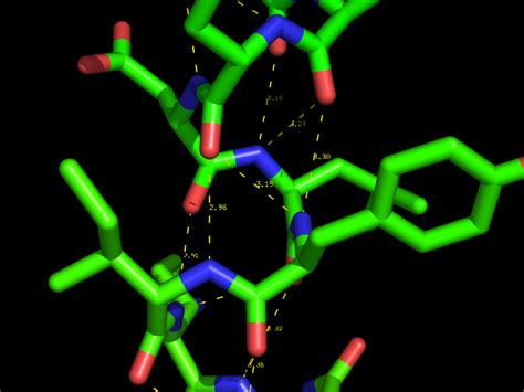 Displaying Biochemical Properties Pymol Wiki