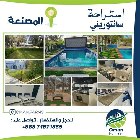 ‎دليل استراحات ومزارع عُمان‎ ‎استراحة سانتوريني⛺️ 🌳 الموقع المصنعه القرط المرافق المتوفره