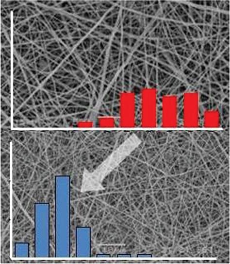 Application Of Low Loading Of Collagen In Electrospun Poly L‐lactide