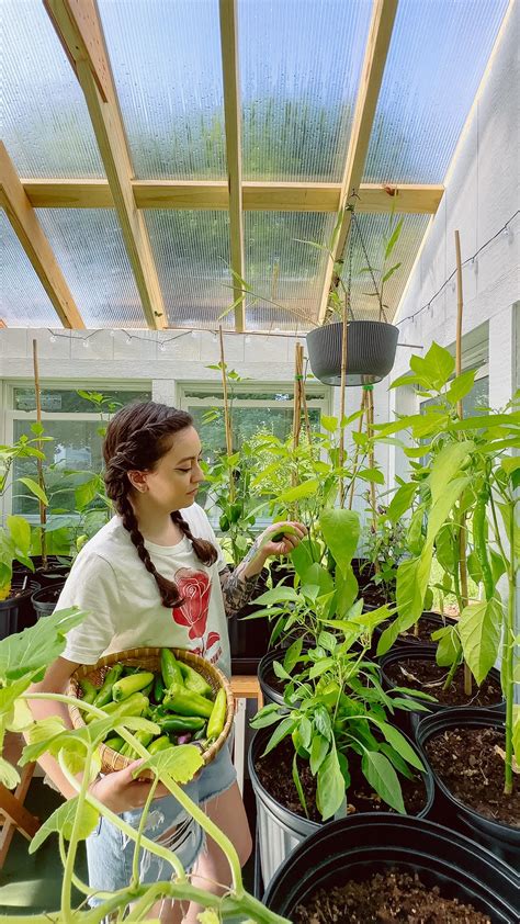 How To Control Greenhouse Temperature [hometown Structures]