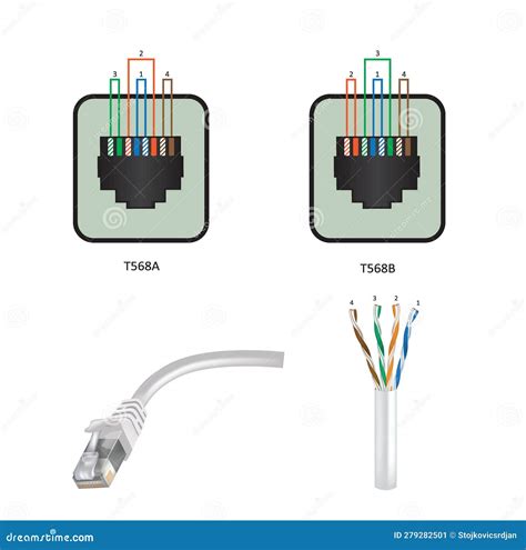 Utp Ethernet Cabling Standards Cartoon Vector Utp Ethernet Cabling Standards Cartoon Vector