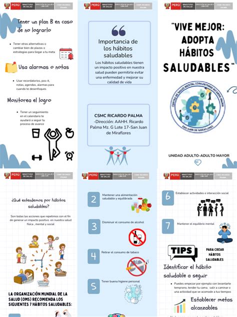 Triptico De Hábitos Saludables Pdf