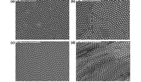 Eutectic Microstructures In The Capillary Sample And In Different Download Scientific Diagram