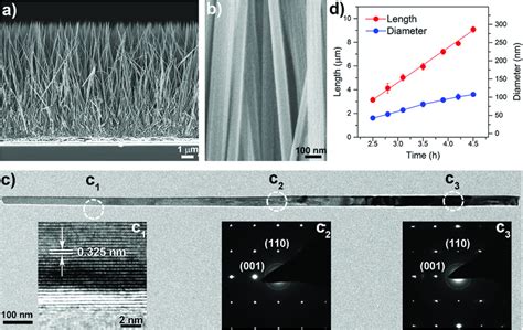Microstructure Characterization Of The Long And Well Separated TiO2 Download Scientific Diagram