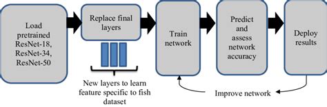 The Transfer Learning Scheme Download Scientific Diagram