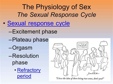 Unit Overview Motivational Theories Hunger Sexual Motivation Ppt Download