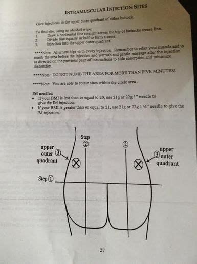 Diagram Where To Inject Progesterone Progesterone Injection