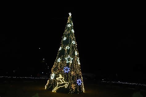 ბანძაში საახალწლო ნაძვის ხე აინთო მარტვილის მუნიციპალიტეტი