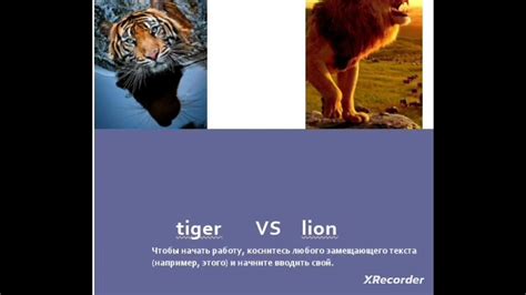 ლომი Vs ვეფხვი Youtube