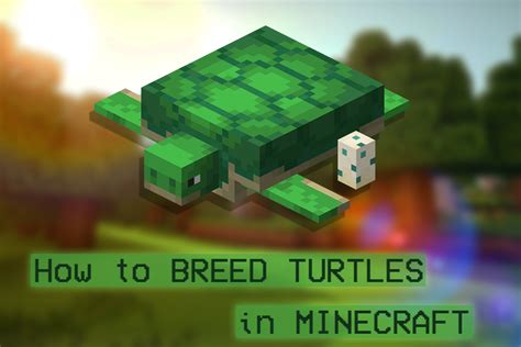 All Minecraft Turtle Helmet Enchantments And When To Use Them Gamers Decide