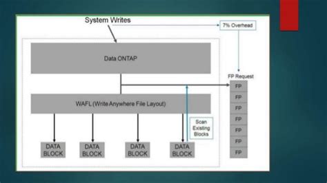 netapp deduplication concepts