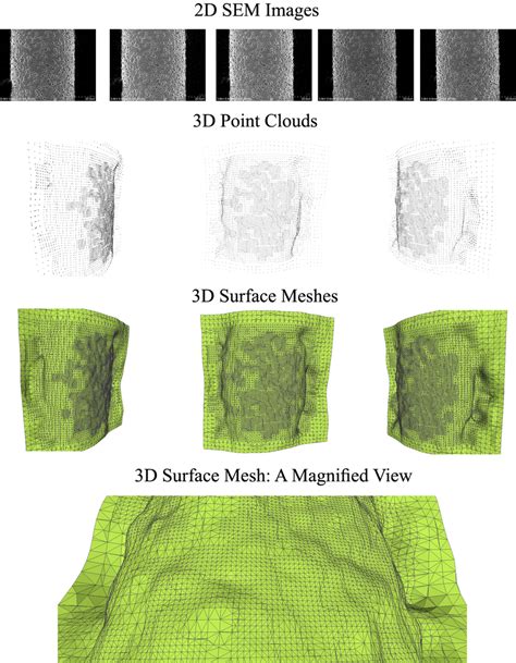 7 Qualitative Visualization Of The Proposed 3d Sem Surface