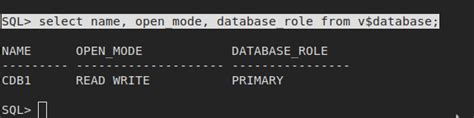 Check Oracle Database Status Manjaro Dot Site