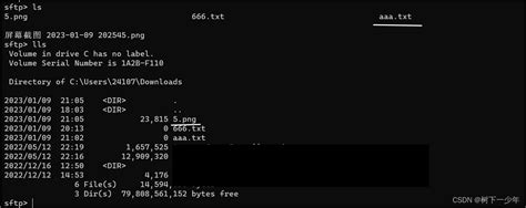 怎么实现将windows上的文件传到linux、将linux上的文件传输到windows、不同的linux设备之间文件传输 windows传