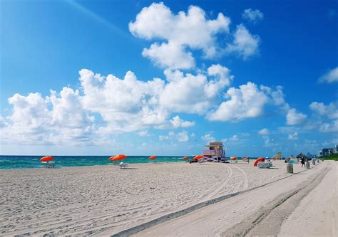 Haulover Park Tours Book Now Expedia
