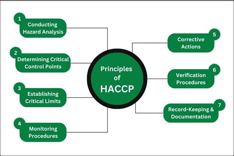 Article 04 Principles Of The Haccp System