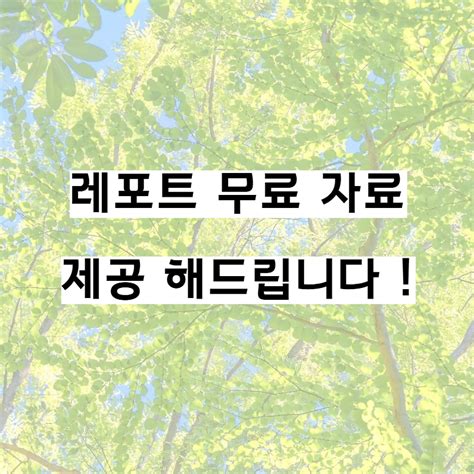 지역사회복지 네트워크의 의미 기능과 역할에 대하여 서술하고 본인의 생각으로 지역사회복지 네트워크 구축의 원칙을 설명하시오