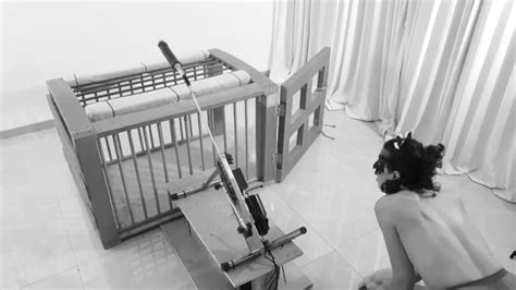 A Day In The Life Of A Kitten Ep 4 Final The Curiosity Fucked The Kitty Up Bdsmlovers91