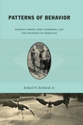 Patterns Of Behavior百度百科