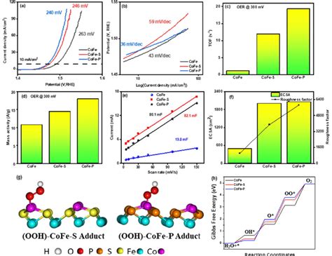 Electrochemical Performance For Oer A Lsv Curves Of The Samples