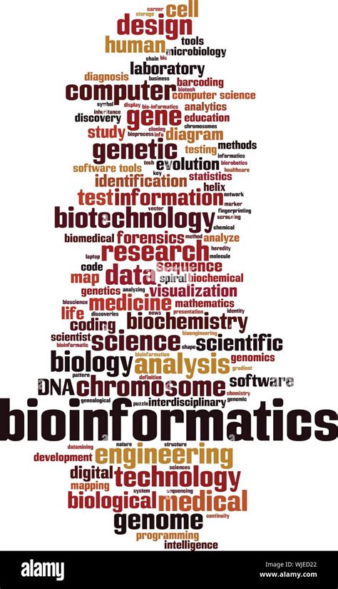 Bioinformatics Word Cloud Concept Collage Made Of Words About Bioinformatics Vector