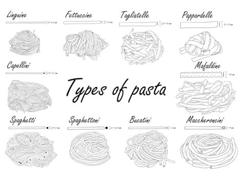 Premium Vector Types Of Pasta Long Pasta Difference Illustration Example