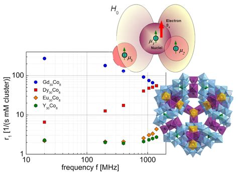 Lncmi Paramagnetic Relaxation Enhancement
