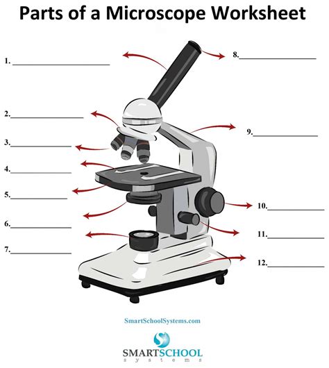 Label A Microscope Worksheet Printable Pdf Template