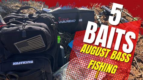 Baits For August Bass Fishing Youtube