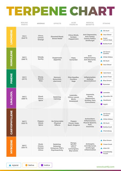 Different Types Of Weed Chart