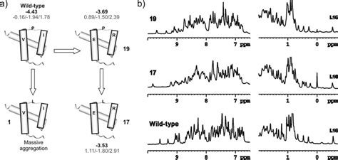A Schematic Representation Of Wild Type Hesx 1 Together With Variants