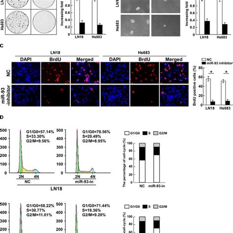 Pten Protein Structure Pten Is Composed Of 403 Amino Acids And