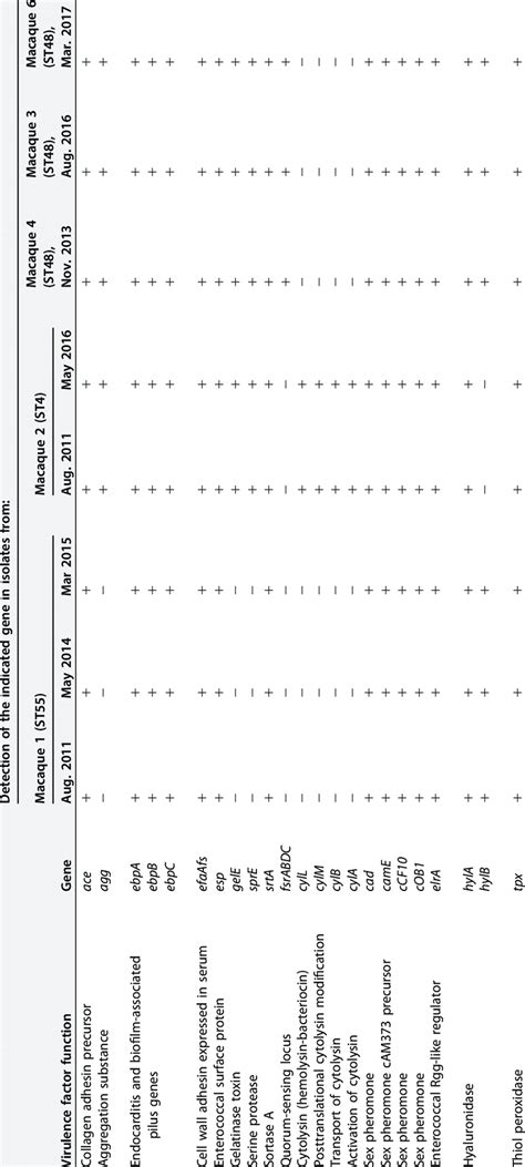 Virulence Factor Genes From Selected E Faecalis Strains Identified By