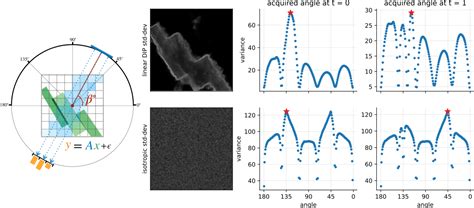 Github Educating Dipbayesianexperimentaldesign