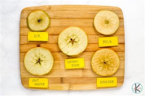 Simple Apple Oxidation Experiment To Learn Why Apples Turn Brown And What Prevents Apples From