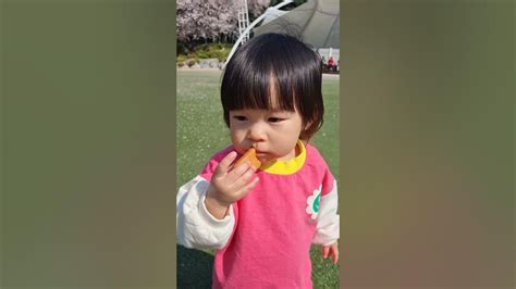 강아지 보러갔다가 무서워서 도망치고 멀리서 바라보는 중 Youtube