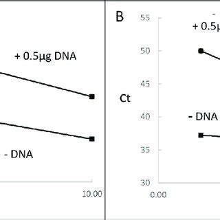 Effect Of The End Of The Primer On Production Of Nonspecificity And Download Scientific