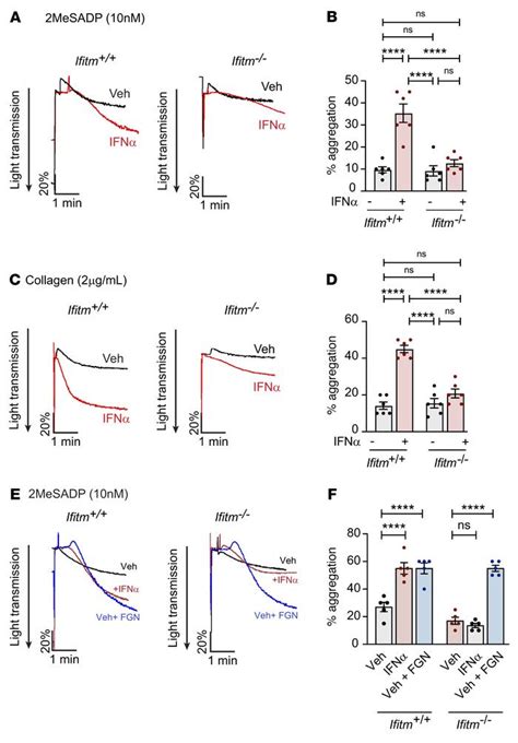Jci Ifitm3 Regulates Fibrinogen Endocytosis And Platelet Reactivity