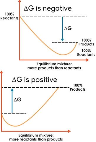 Introduction Of Equilibrium