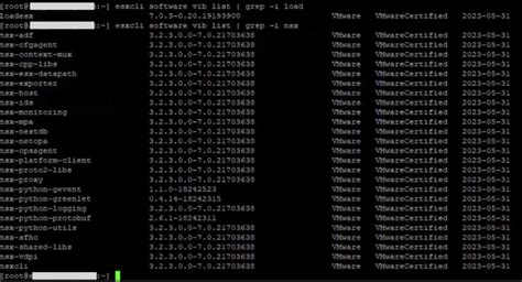 lorenzo moglie notes nsx t host preparation upgrade vib s