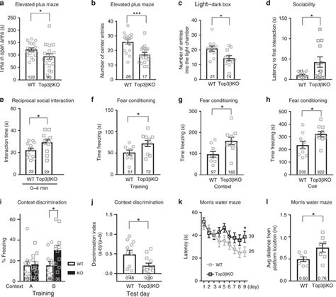 Any Maze Freezing Nature Mouse Lasemwaves