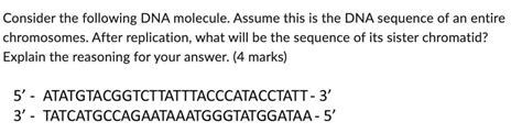 [answered] consider the following dna molecule assume this is the dna