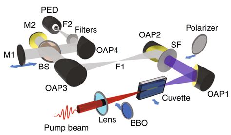 Fig1 Experimental Layout For Integrated And Spectral Terahertz Download Scientific Diagram